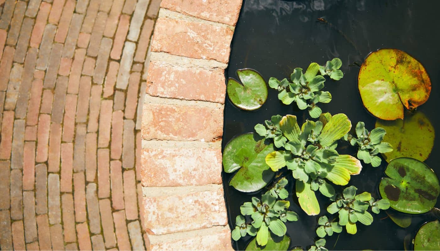 Wildlife-Friendly Garden Design Ideas | Andy Stedman
