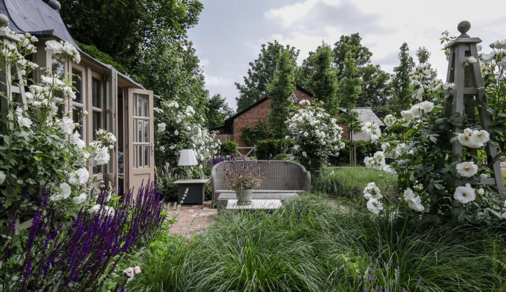 Autumn Planting Guide: What To Plant Now | Andy Stedman Design